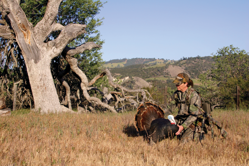 Find the Right Turkey Decoy SetupTurkey and Turkey Hunting