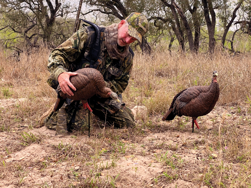 Find the Right Turkey Decoy SetupTurkey and Turkey Hunting